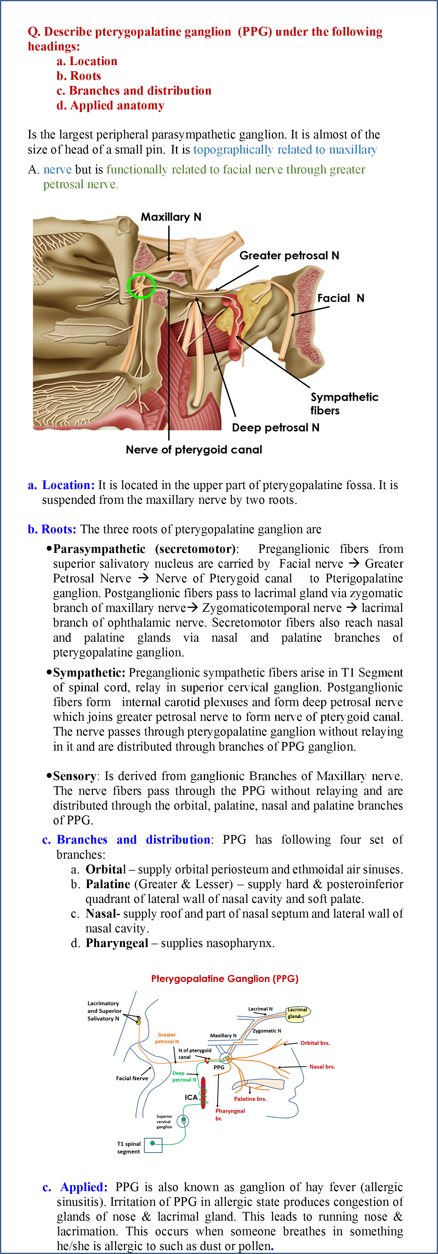 Contents Of Pterygopalatine Fossa Infratemporal Fossa – Anatomy QA